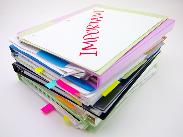 Mike Swift Electronic Web Resume Online Portfolio OneNote